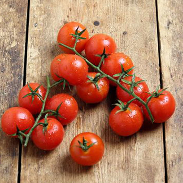 Ateronon Heart+ | The LactoLycopene 'Tomato Pill'